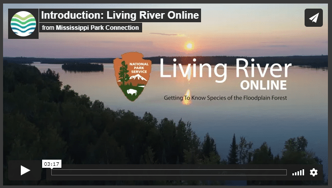 Living River Online | Navigate School Choice